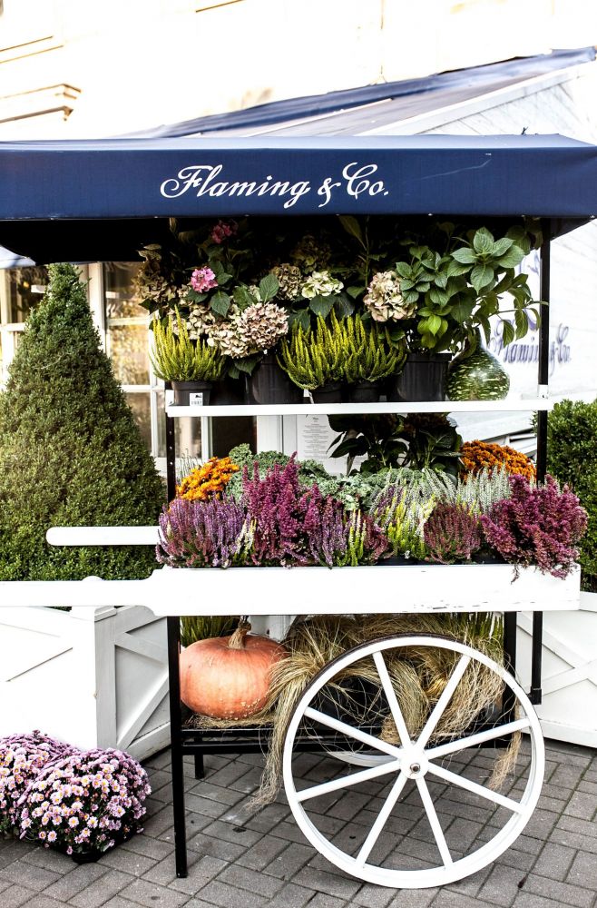 Flaming & Co | Kulinarne podróże w restauracji Flaming